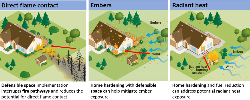 Lessons from the 2025 LA Fires – Calabasas Firewise